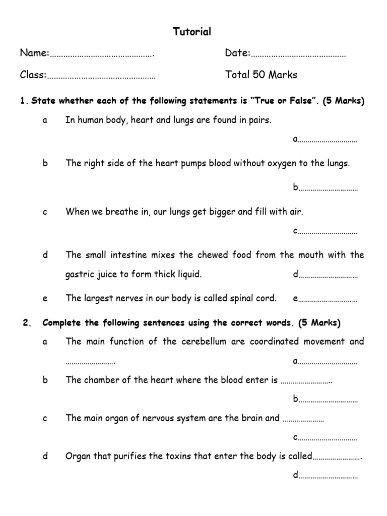 Fourth Tutorial Pdf Heart Anatomy