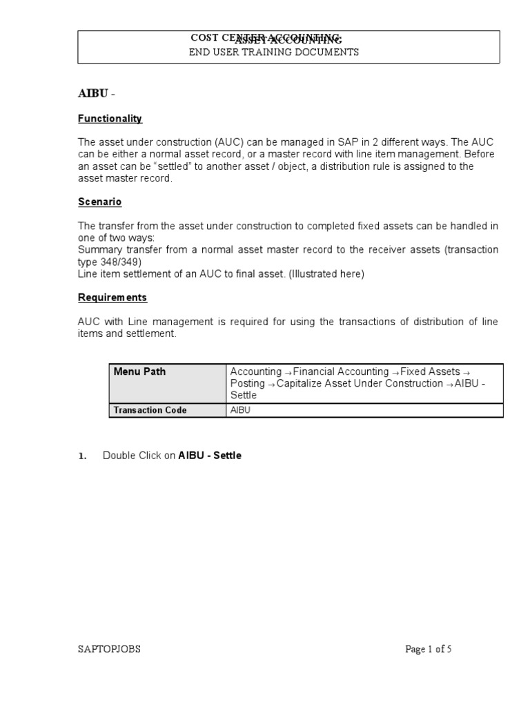 AUC Settlement Process in SAP Guide | PDF