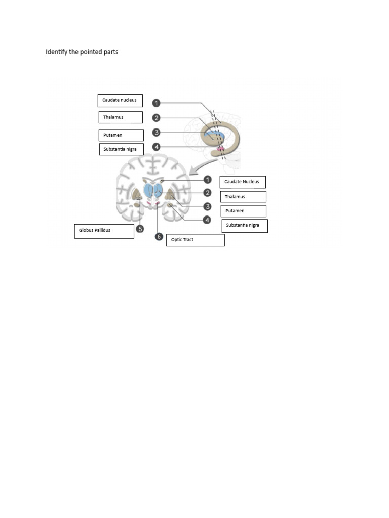 BG Seatwork Draft | PDF