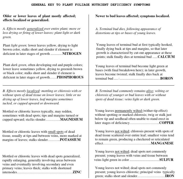 Cannabis Nutrient Deficiency Guide | PDF | Leaf | Plant Nutrition