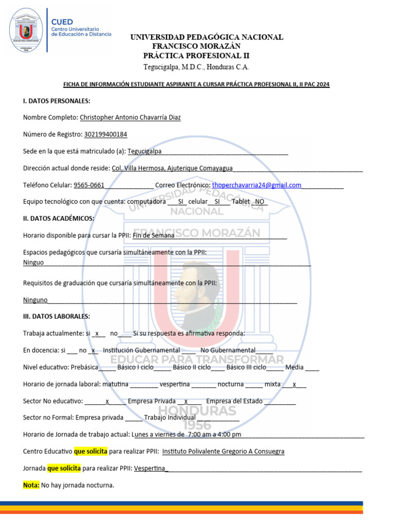 Ficha de Asesoría PPII | PDF