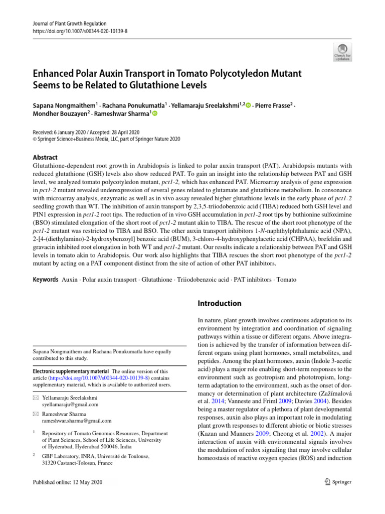 Tomato Polycot, Enhanced PAT Related To Glutathione Levels | PDF | Root ...