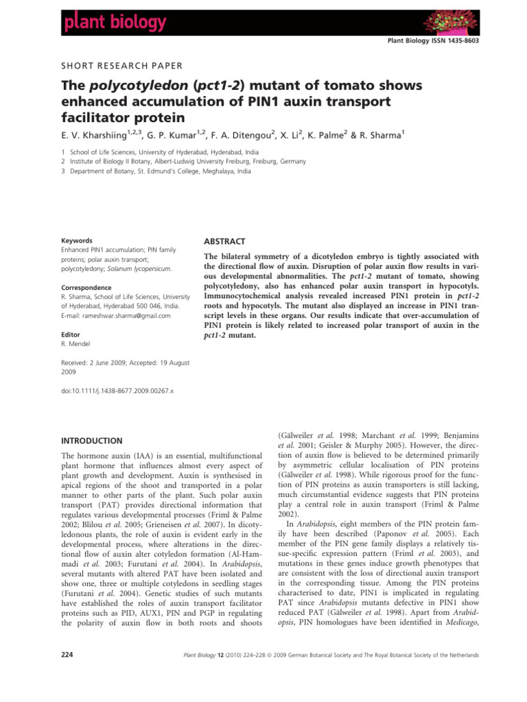 Polycotyledon (pct1-2) Mutant of Tomato, Enhanced Accumulation of PIN1 ...