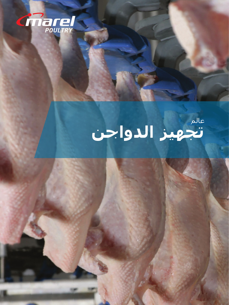 Poultry - Primary Processing - Slaughterhouse | PDF