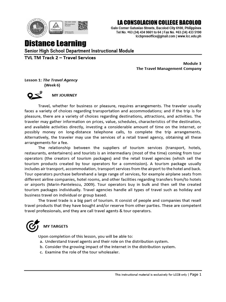 Ts Module Week 6 | PDF | Travel Agency | Retail