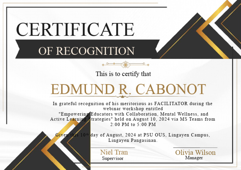 Facilitator Recognition Certificate | PDF | Career & Growth