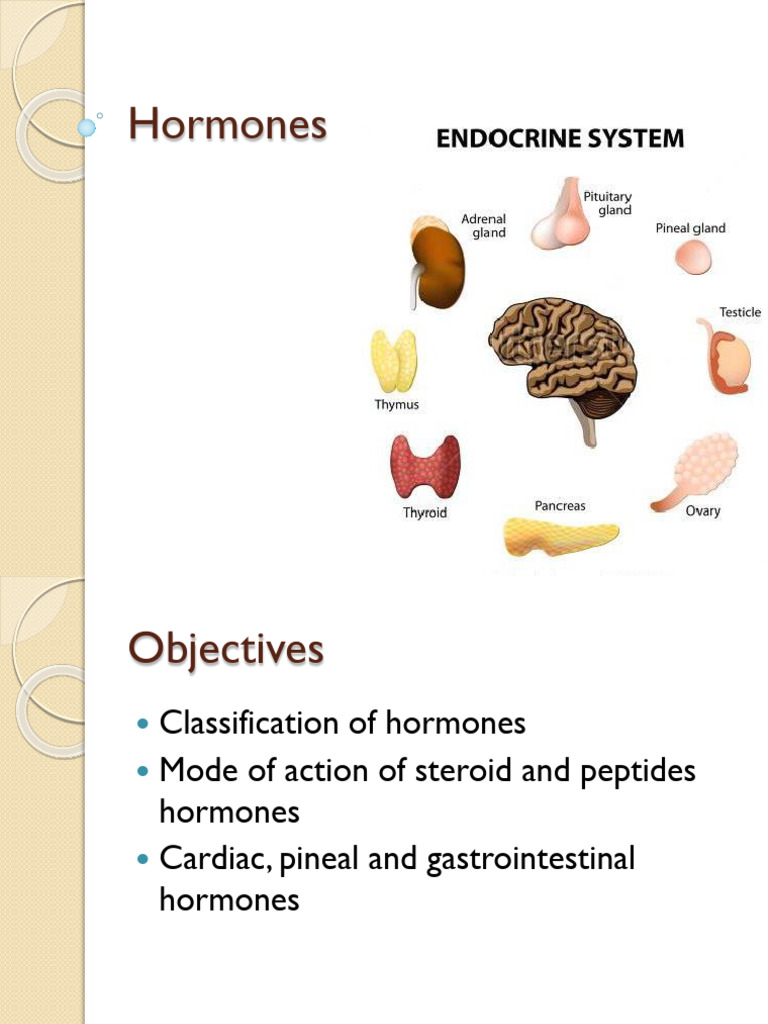 Hormones | PDF | Adrenal Gland | Cortisol