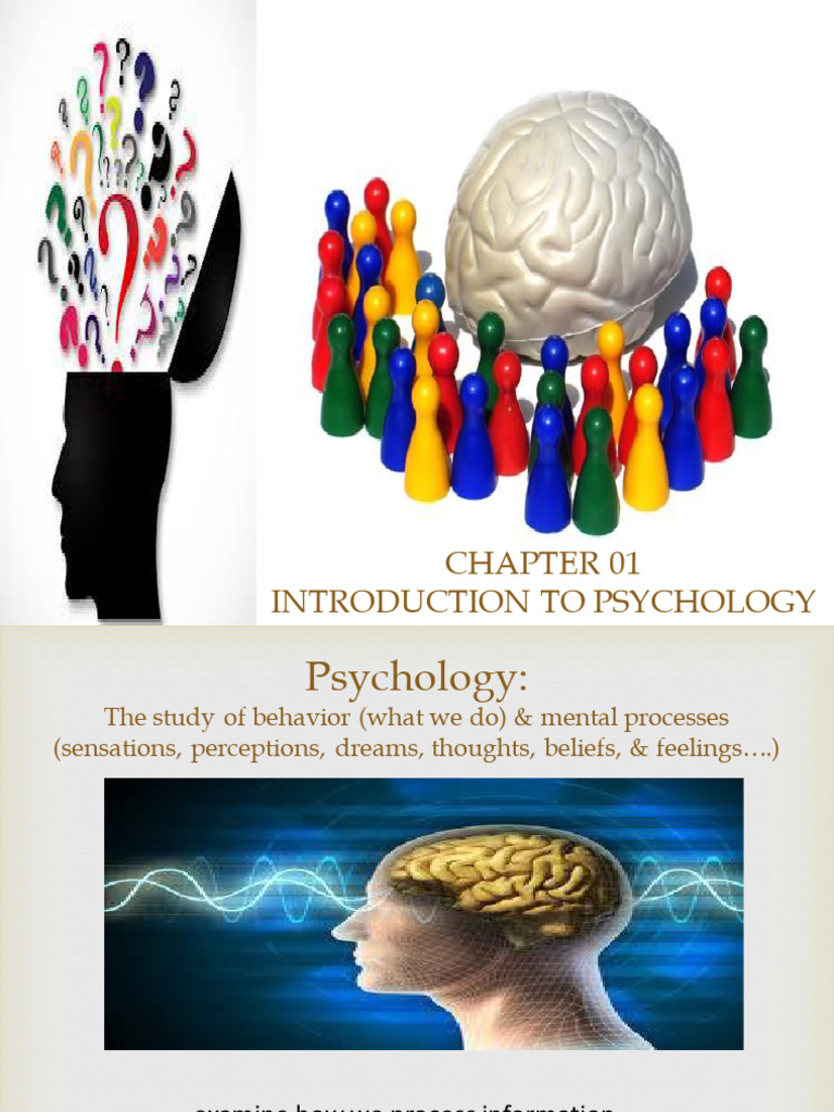 Intro | PDF | Psychology | Cognition
