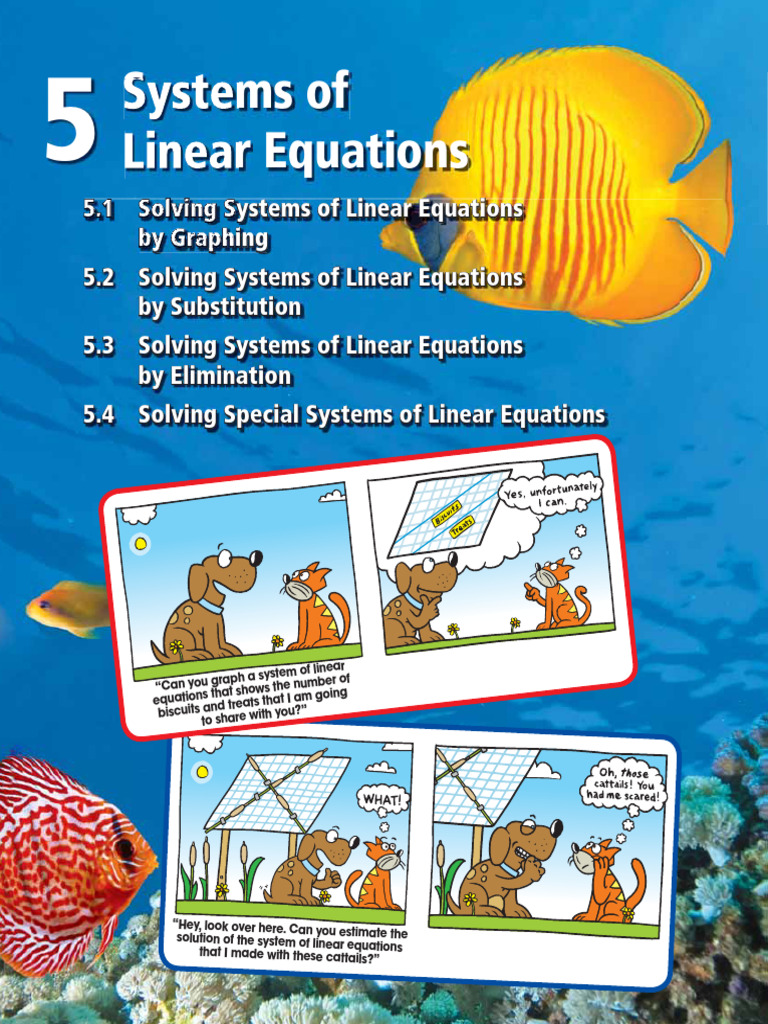 Chap-05 System of Linear Equations | PDF | Equations | System Of Linear ...
