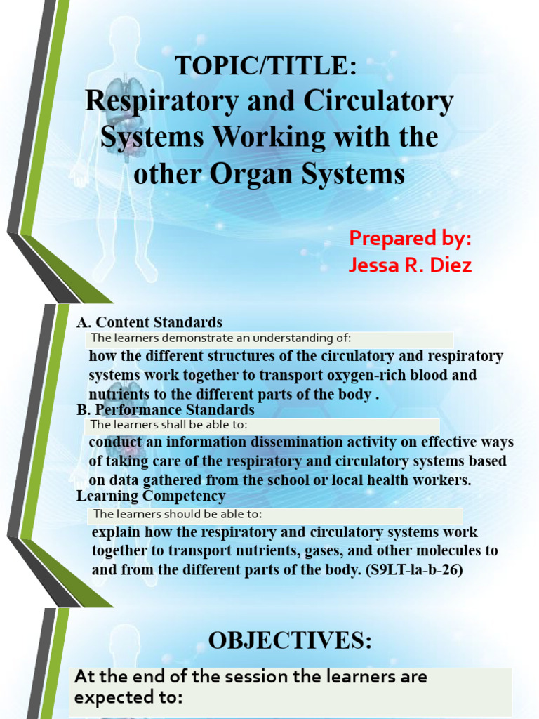 Respiratory and Circulatory System Overview | PDF | Respiratory System ...