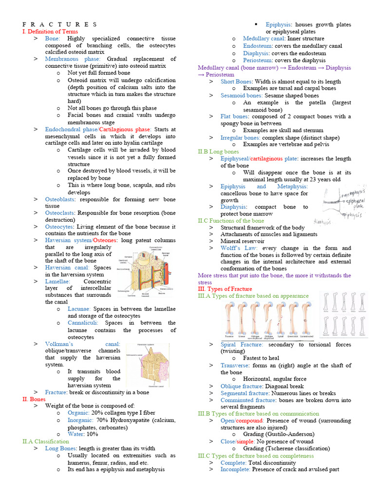 FRACTURES | PDF | Bone | Musculoskeletal System
