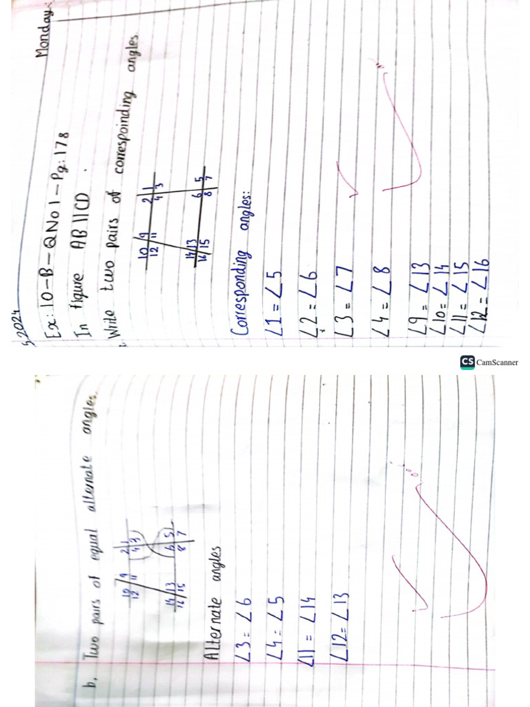 Class 6 Unit 10B | PDF