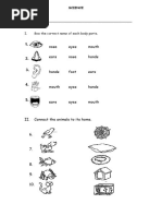 Grade 1 Exam (Science) | PDF | Root | Plants