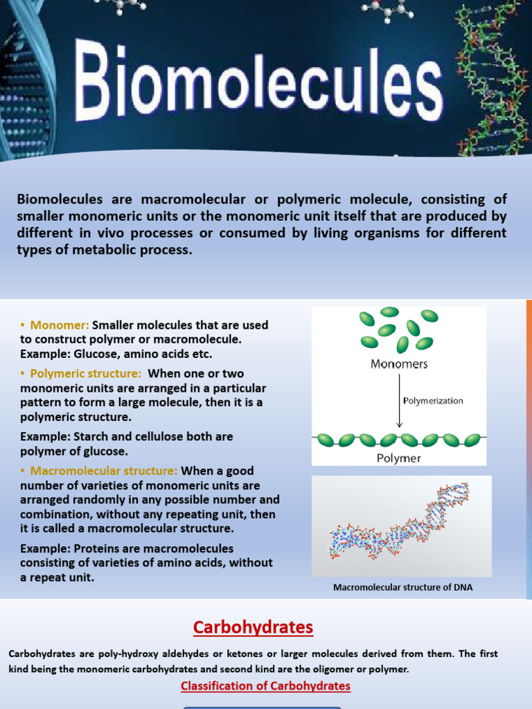 Biomolecules | PDF | Nucleotides | Rna