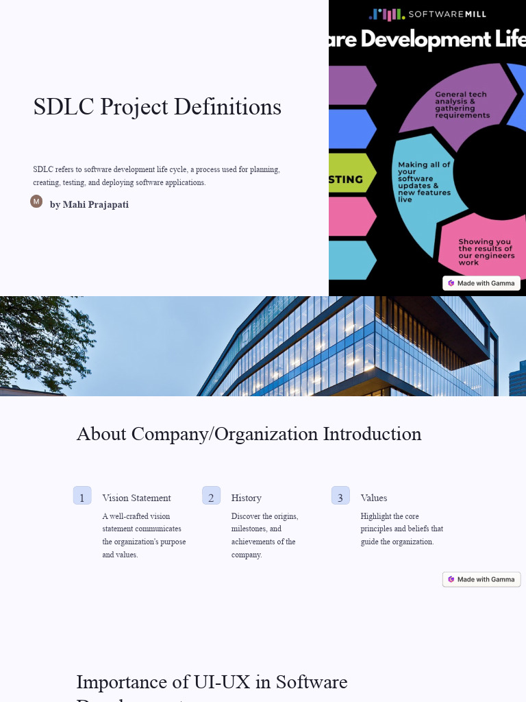 SDLC Project Definitions | PDF | Software Development Process | Usability