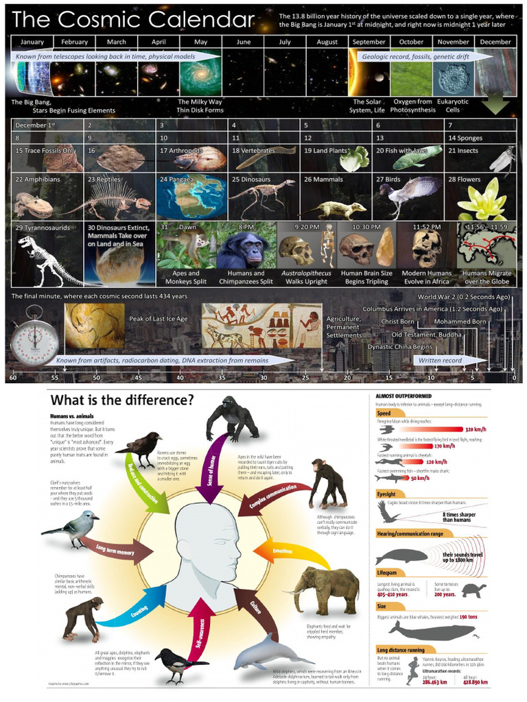 Cosmic Calendar | PDF
