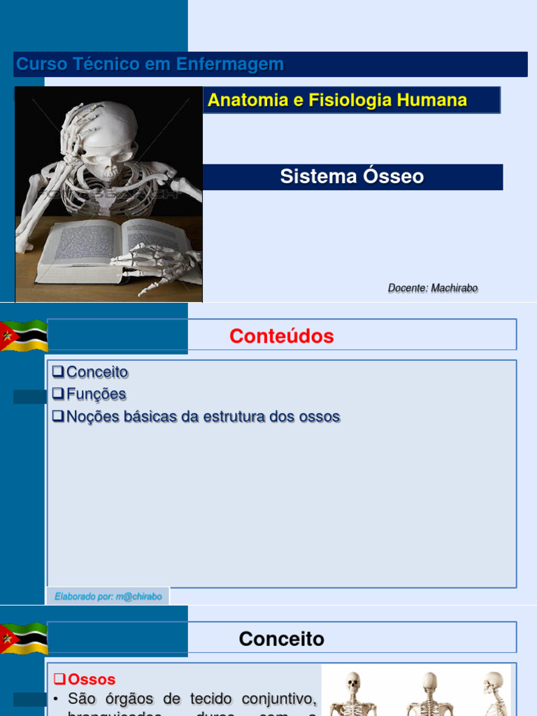 Aula 11. Sistema Osseo | PDF | Osso | Anatomia