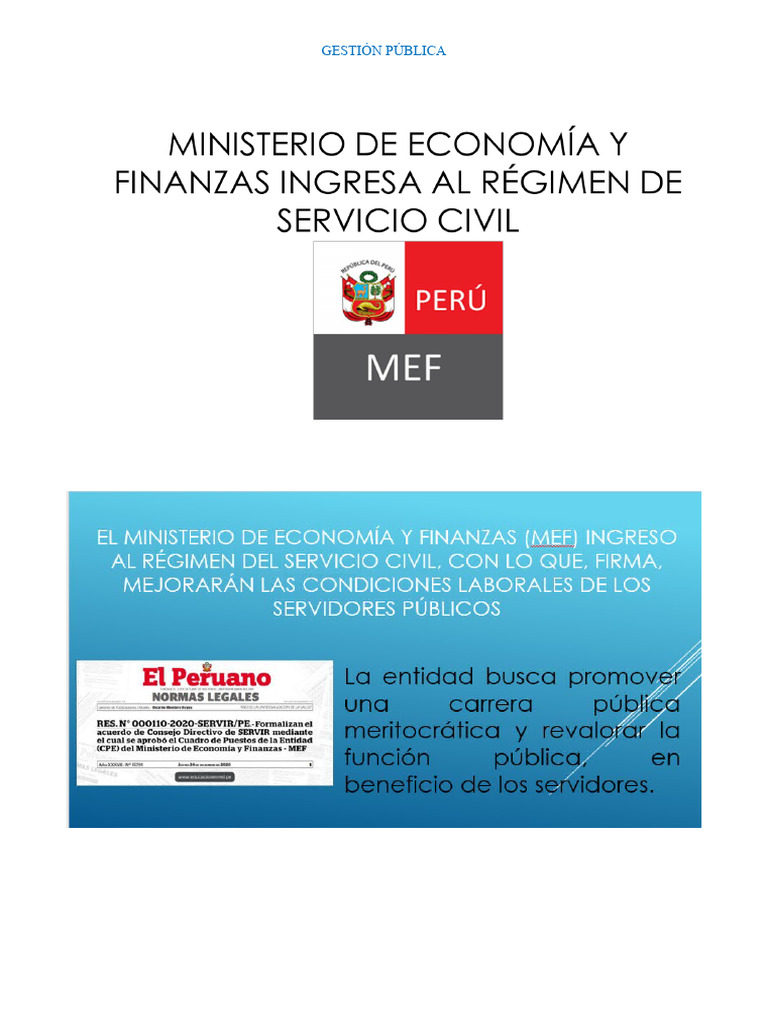 Infografia Mef | PDF