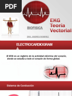 Infradesnivel y Supra del ST en ECG | PDF