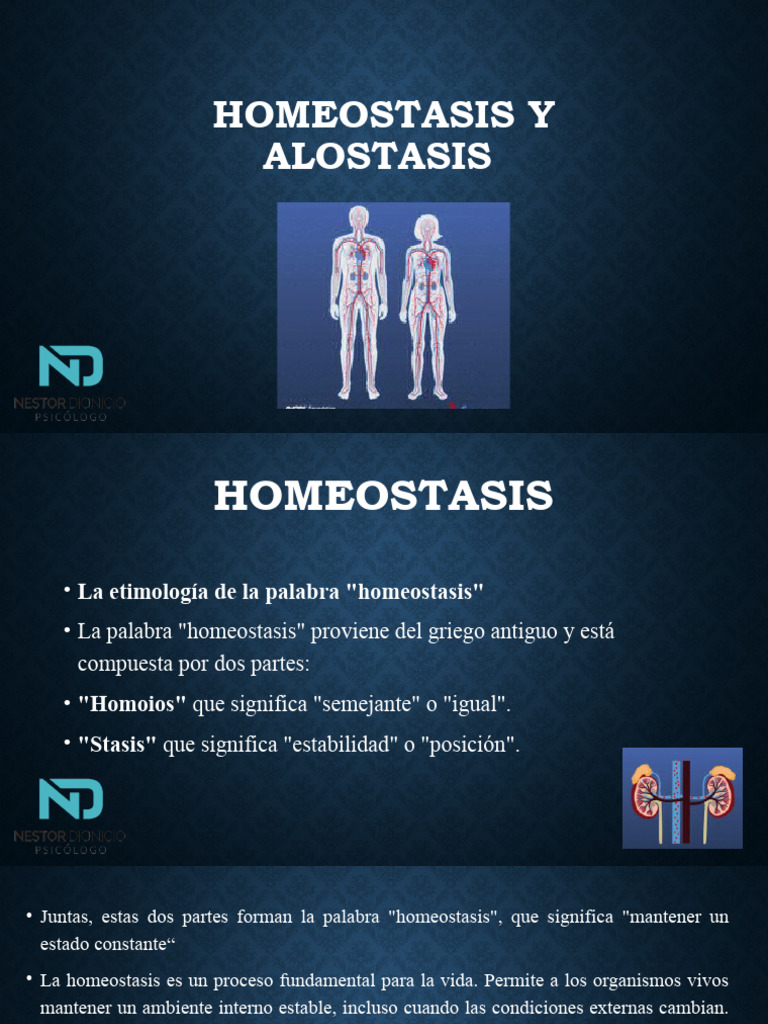 Homeostasis y Alostasis | PDF | Homeostasis | Estrés (biología)