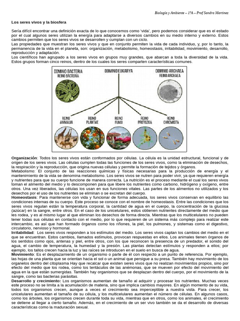 Biología y Ambiente Seres Vivos y Biosfera | PDF | Organismos ...
