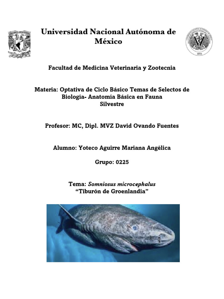 Yoteco Aguirre Mariana Angélica, 0225, Somniosus Microcephalus | PDF ...