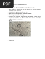 Laboratory Practice Observation of Onion Cells | PDF | Cell (Biology ...
