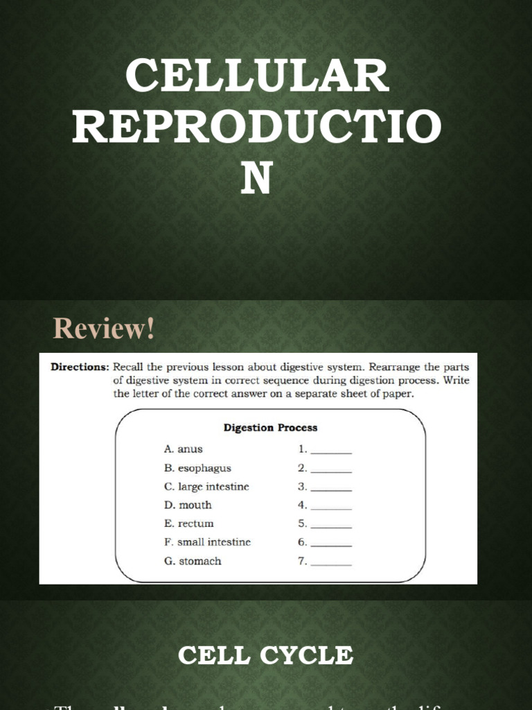 Cell Cycle and Division Guide | PDF | Mitosis | Cell (Biology)