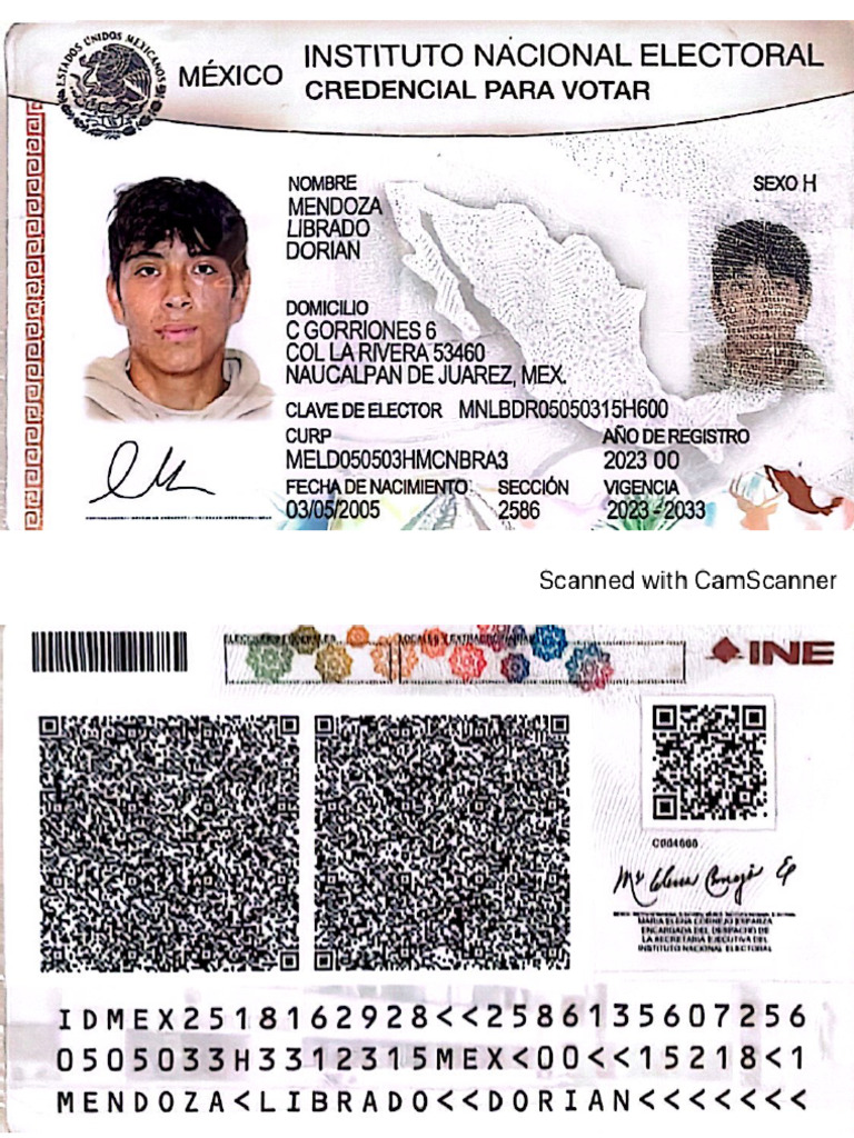 Identificación Oficial (Ine) | PDF