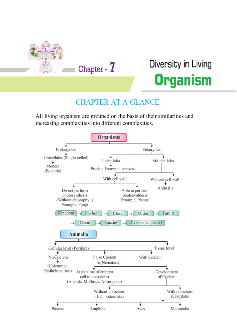 Diversity in Living Organisms | PDF | Biology | Organisms