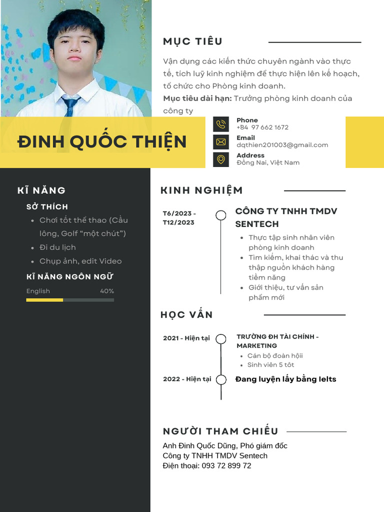 Blue Light Blue Color Blocks Flight Attendant CV | PDF