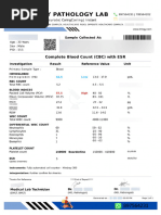 CBC Test Report Format Example Sample Template Drlogy Lab Report | PDF ...