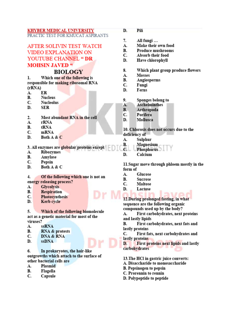Scapula | PDF | Chemical Reactions | Gases