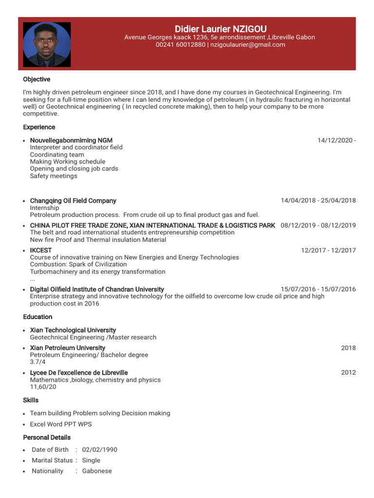 NDL Curriculum Vitã 2 | PDF