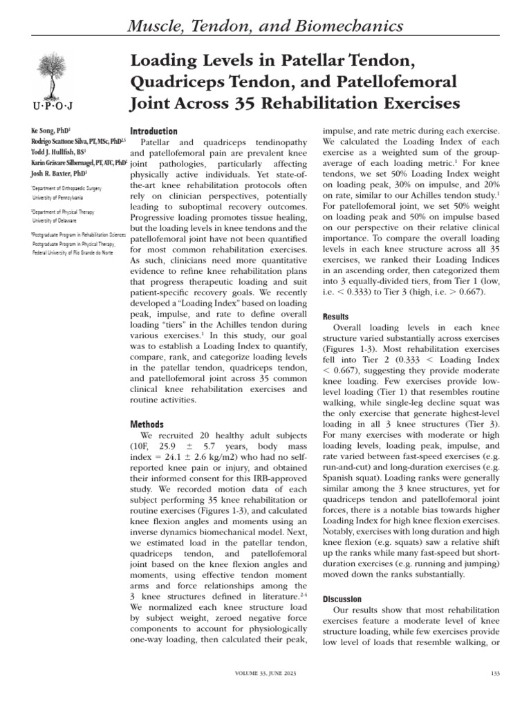 Knee Loading in Rehabilitation Exercises | PDF | Knee | Physical Therapy