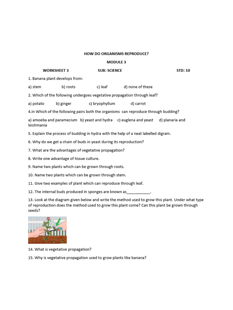 X Bio l06 m03 Reproduction Worksheet | PDF