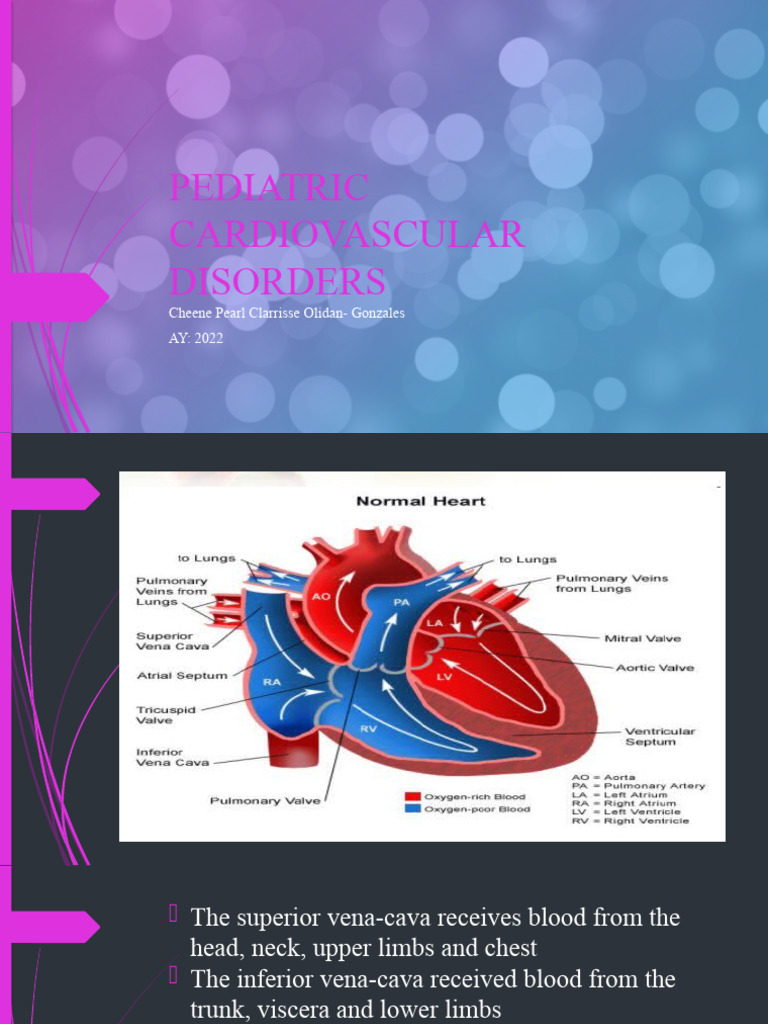 Pediatric Cardiovascular Disorders Overview | PDF | Heart | Ventricle ...