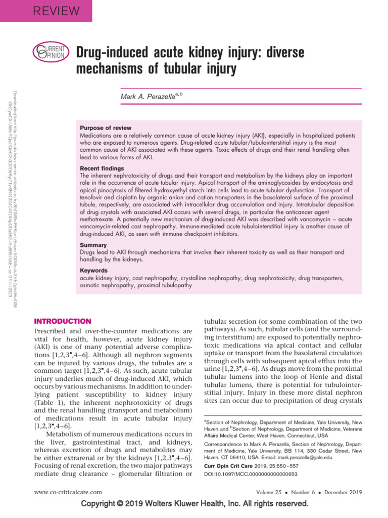 Drug Induced Acute Kidney Injury Diverse.4 | PDF | Kidney | Cell Membrane