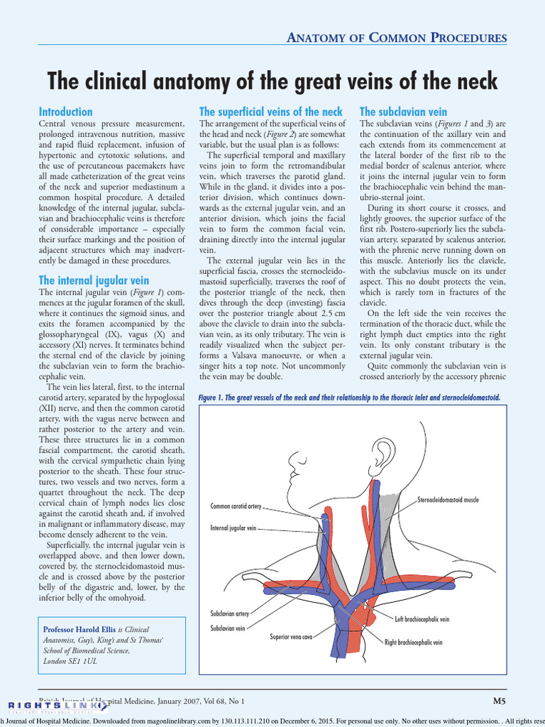 The clinical anatomy of the great veins of the neck 2007 | PDF | Common ...