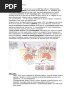 Función y Regulación del Calcio en Células | PDF | Neurona | Biología ...