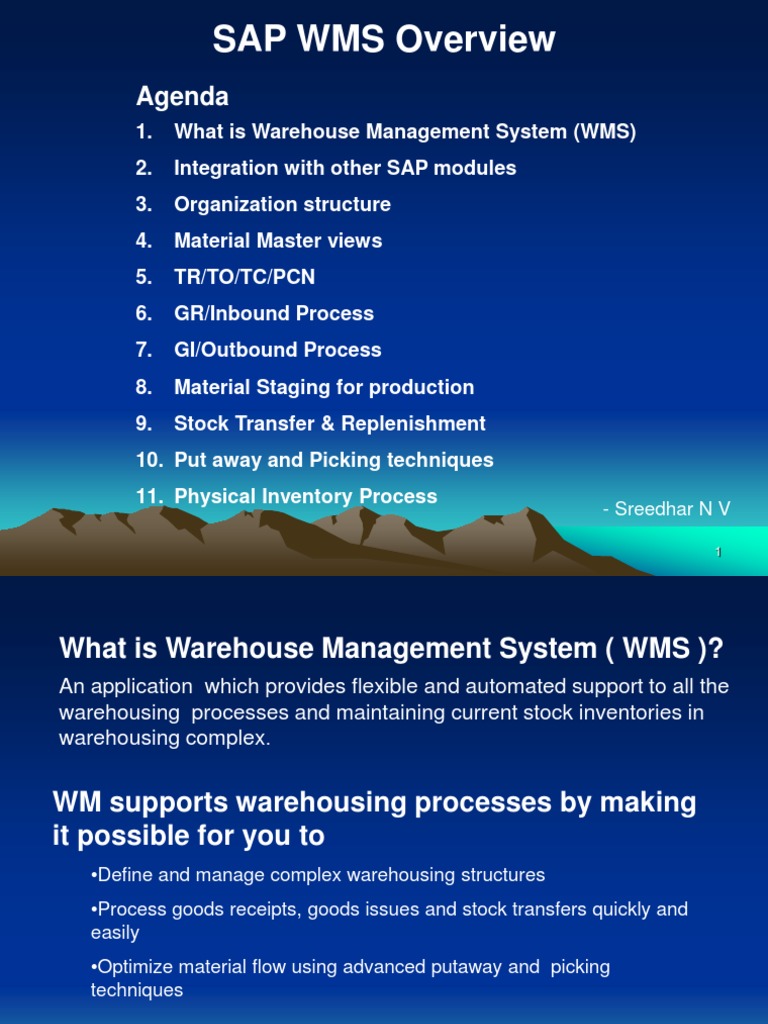 Sap WMS | Download Free PDF | Warehouse | Inventory