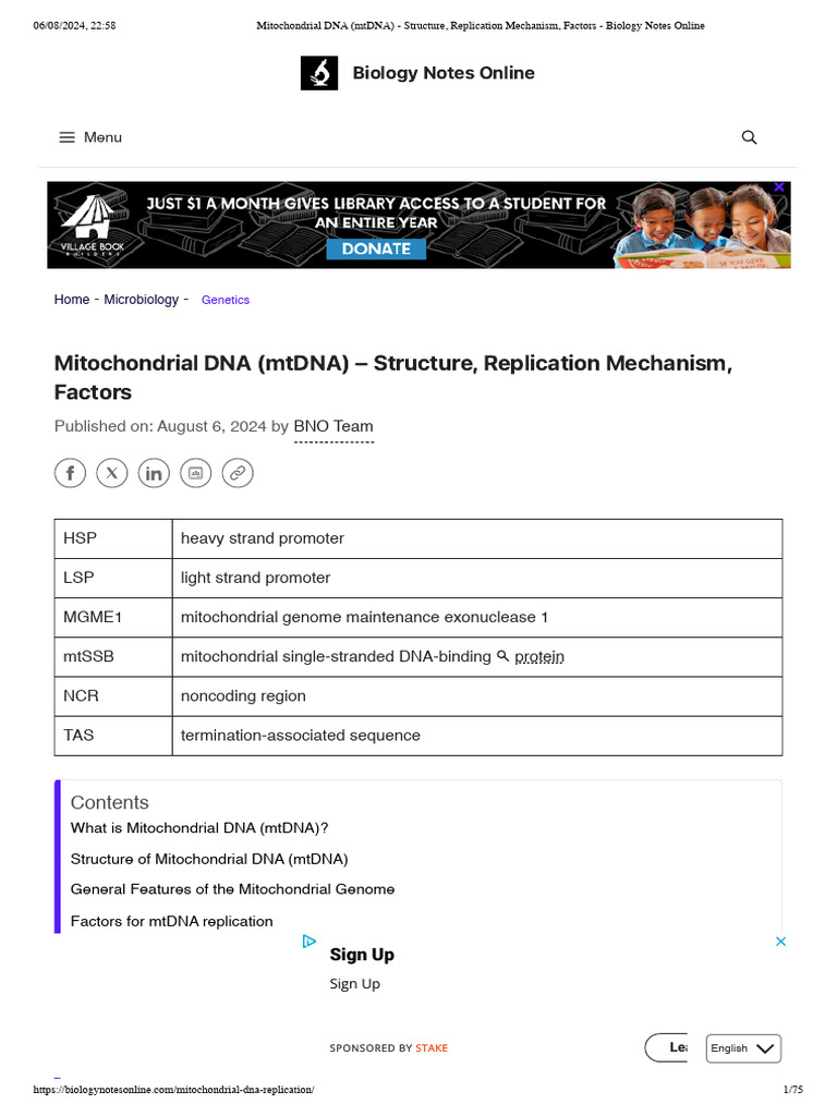Mitochondrial DNA (MtDNA) - Structure, Replication Mechanism, Factors ...