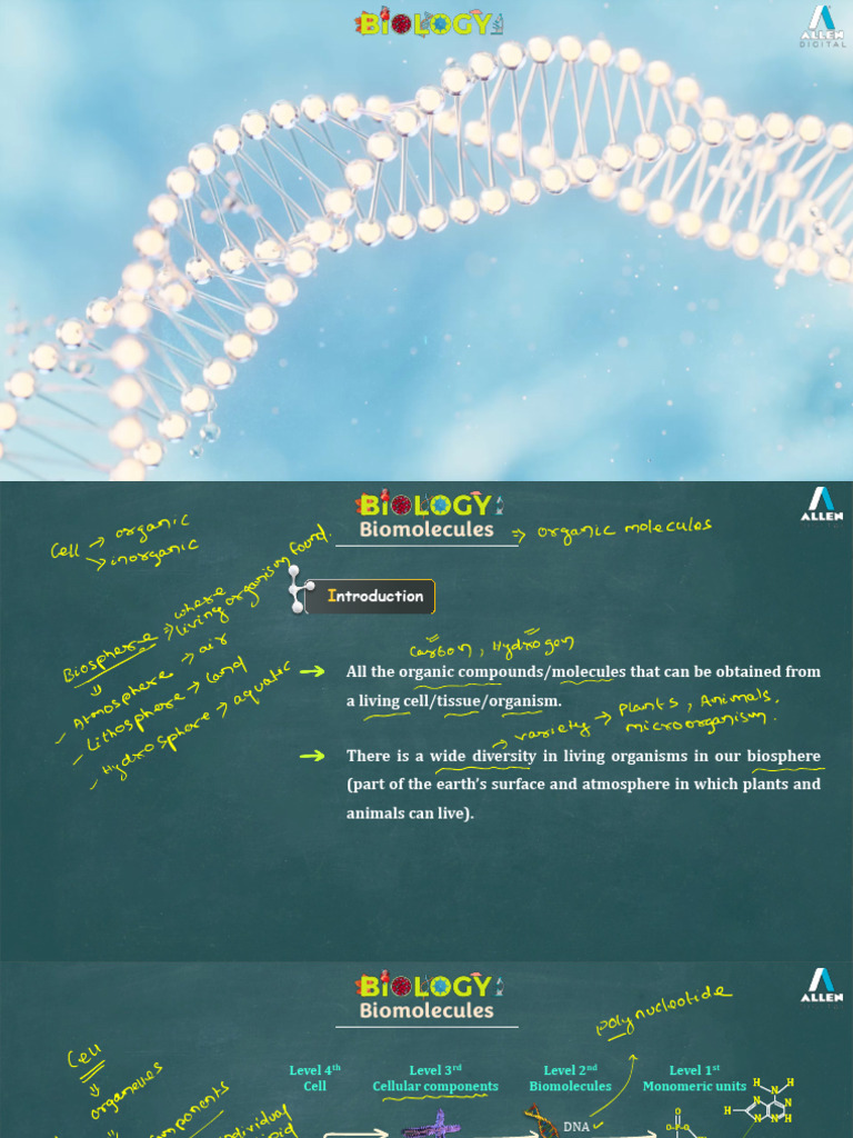 Biomolecules Notes PDF Allen | PDF | Biomolecules | Macromolecules