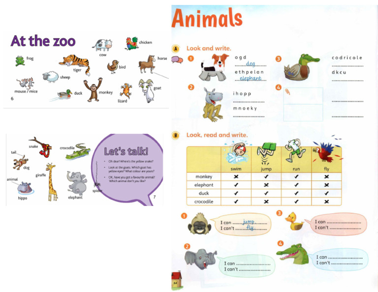 Animals 1 | PDF