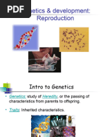 Basic Principle of Reproduction and Growth | PDF | Reproduction | Mitosis