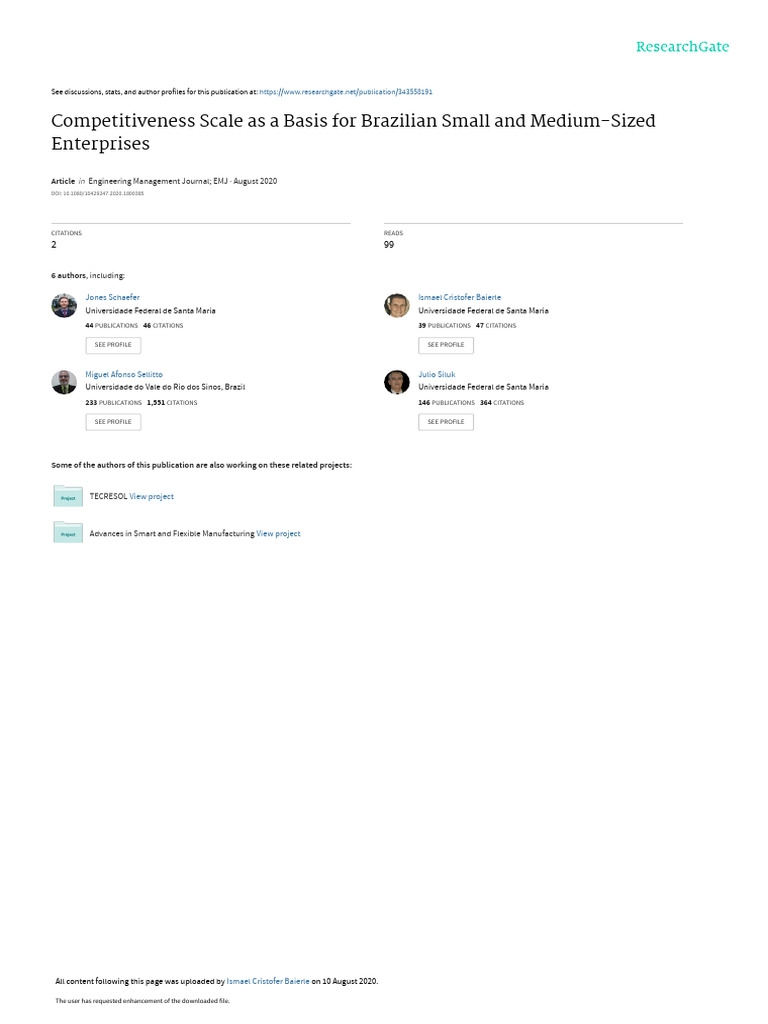 Competitiveness Scale As A Basis For Brazilian Small and Medium-Sized ...