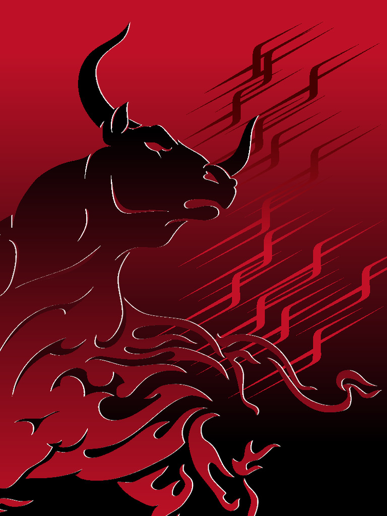 Diseño Toro Rojo | PDF