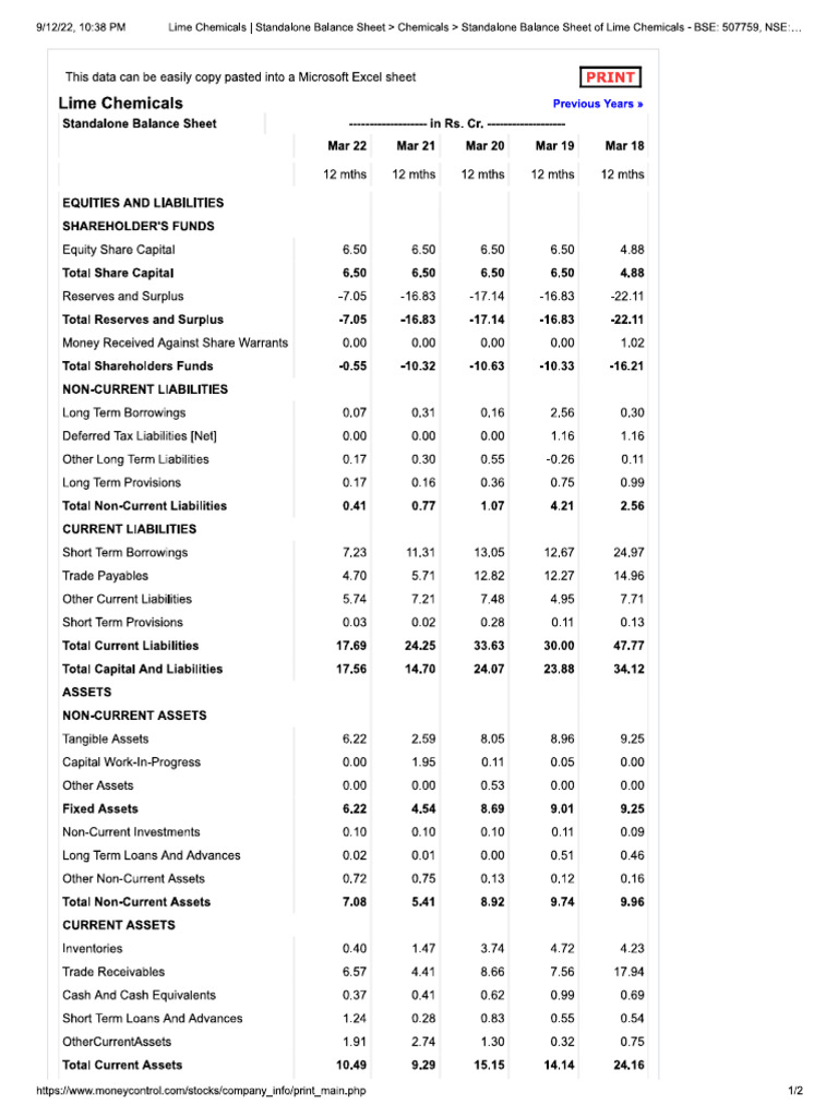 Balance Sheet Lime Chemicals | PDF