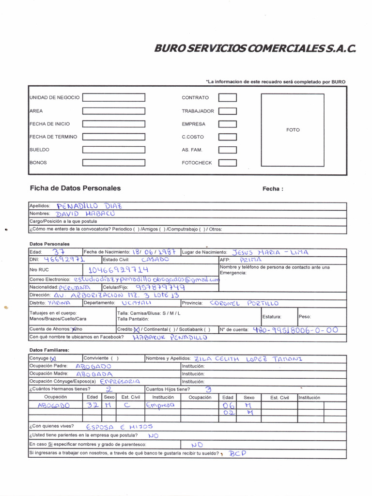 Buro - Ficha de Datos | PDF