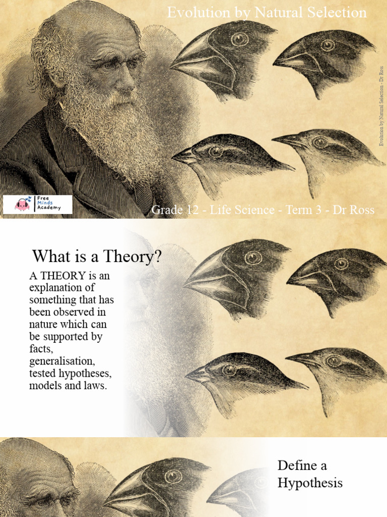 Evolution By Natural Selection Dr Ross Pdf Evolution Meiosis